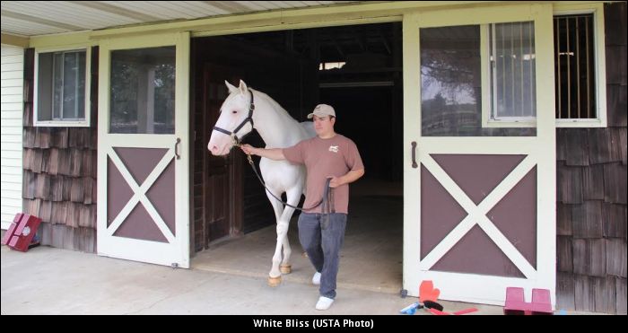 Come Meet White Bliss! | Standardbred Canada