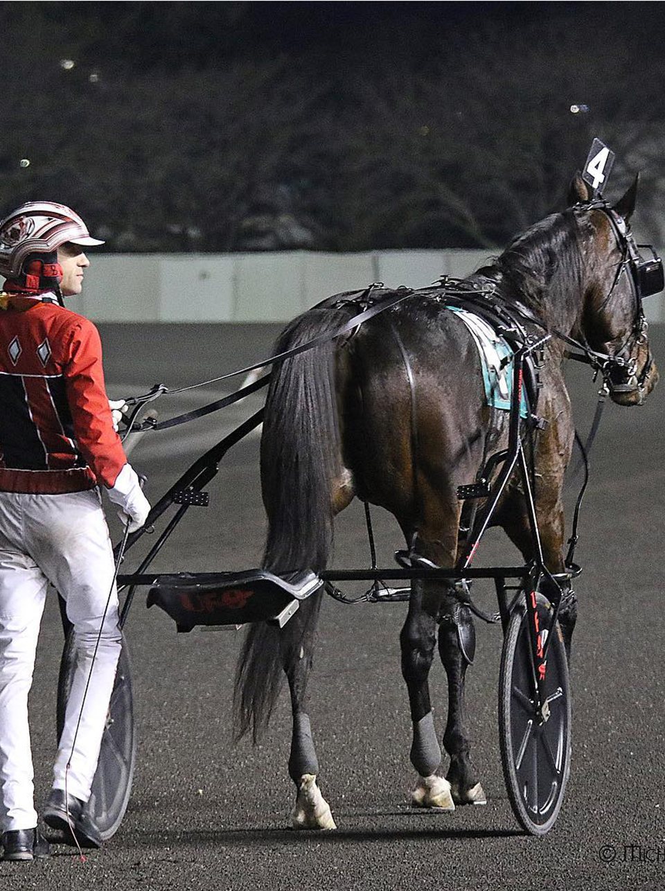 Bulldog Hanover: An Oral History | Standardbred Canada