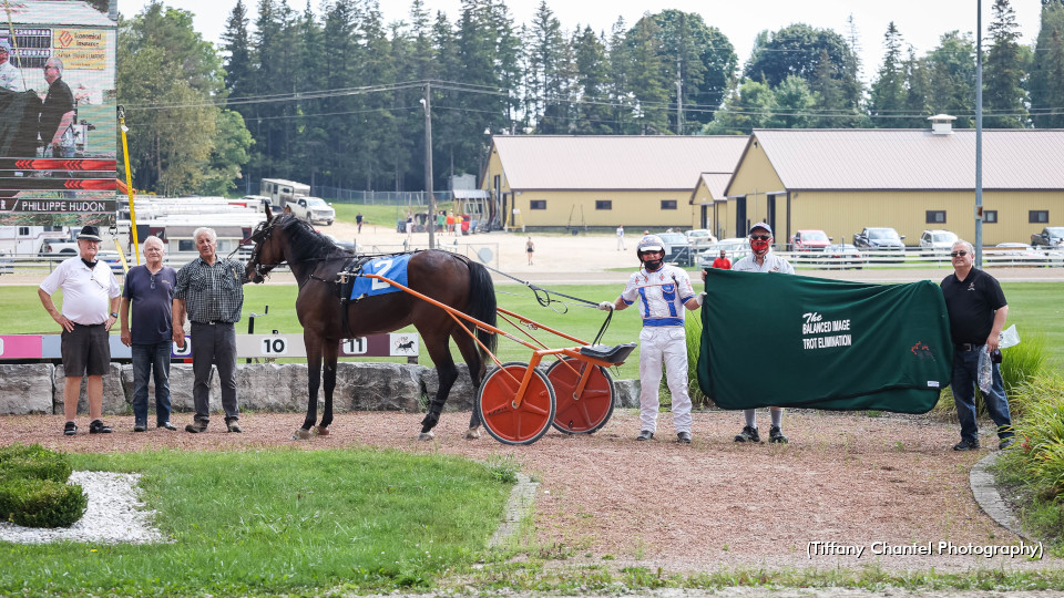 Hanover's Dream Of Glory Winter Book - Central Ontario Standardbred ...