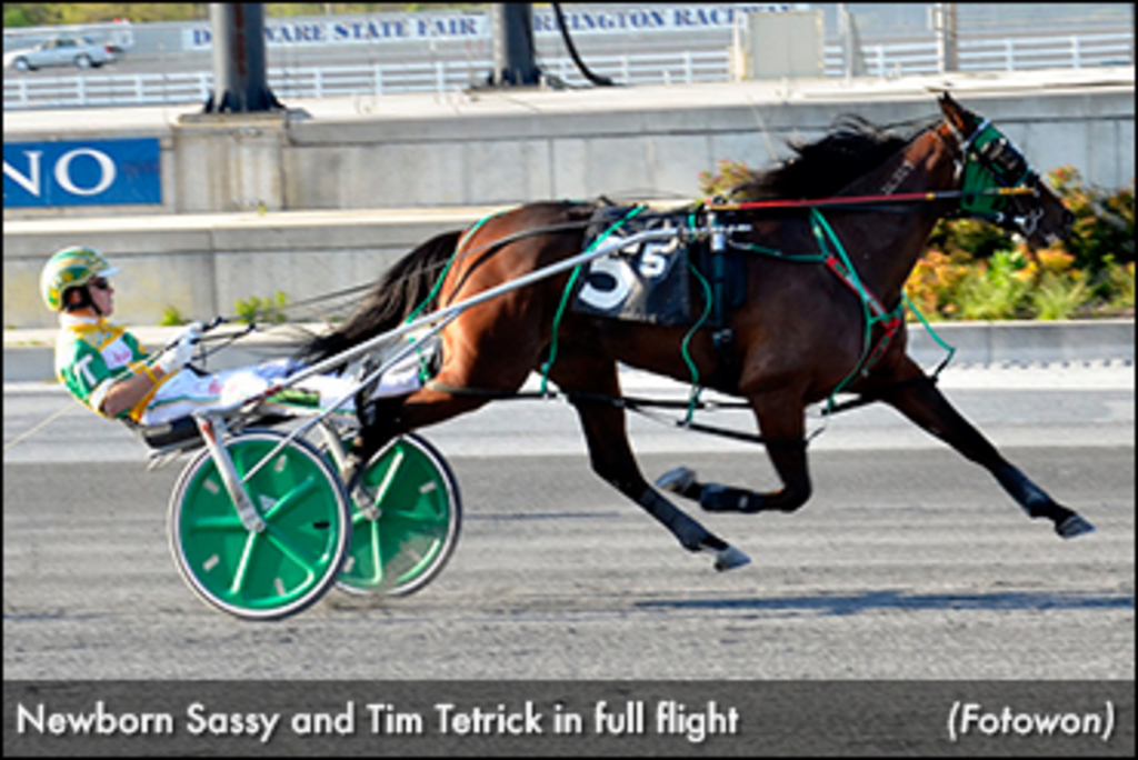 Record Mile For Newborn Sassy | Standardbred Canada
