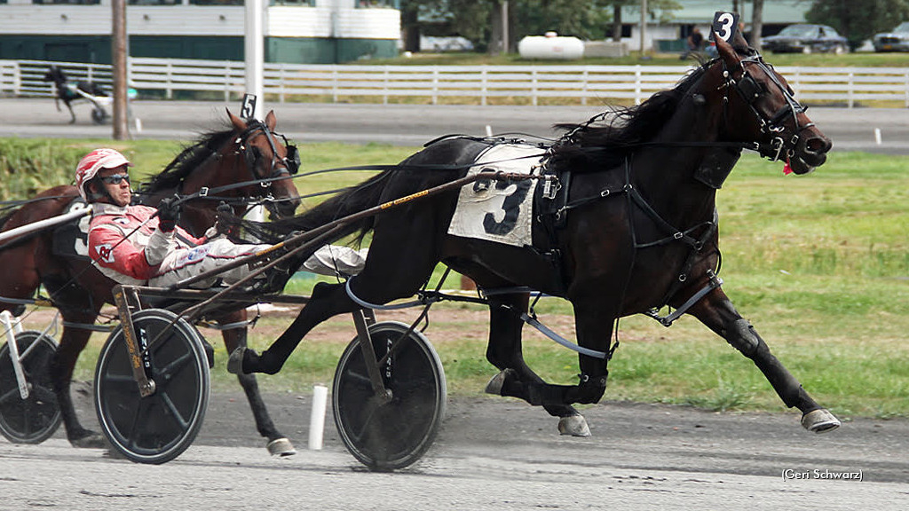 Hurrikane Hunter Matches Monticello Record | Standardbred Canada