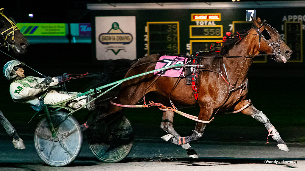 Crazy About Just Plain Loco | Standardbred Canada