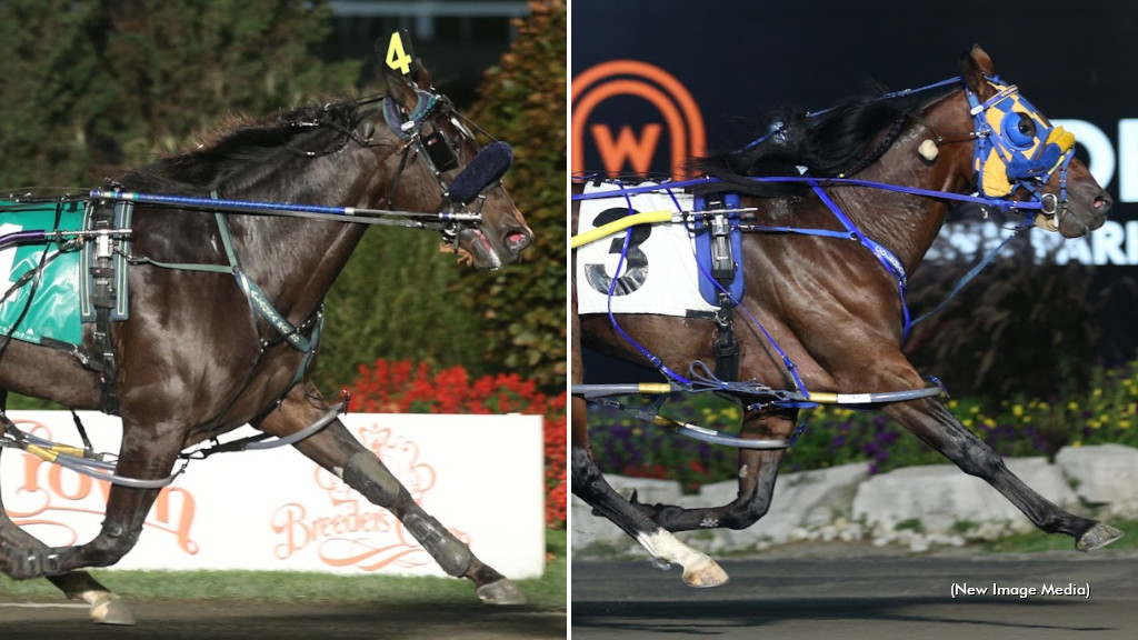 Stallions Return To The Track | Standardbred Canada