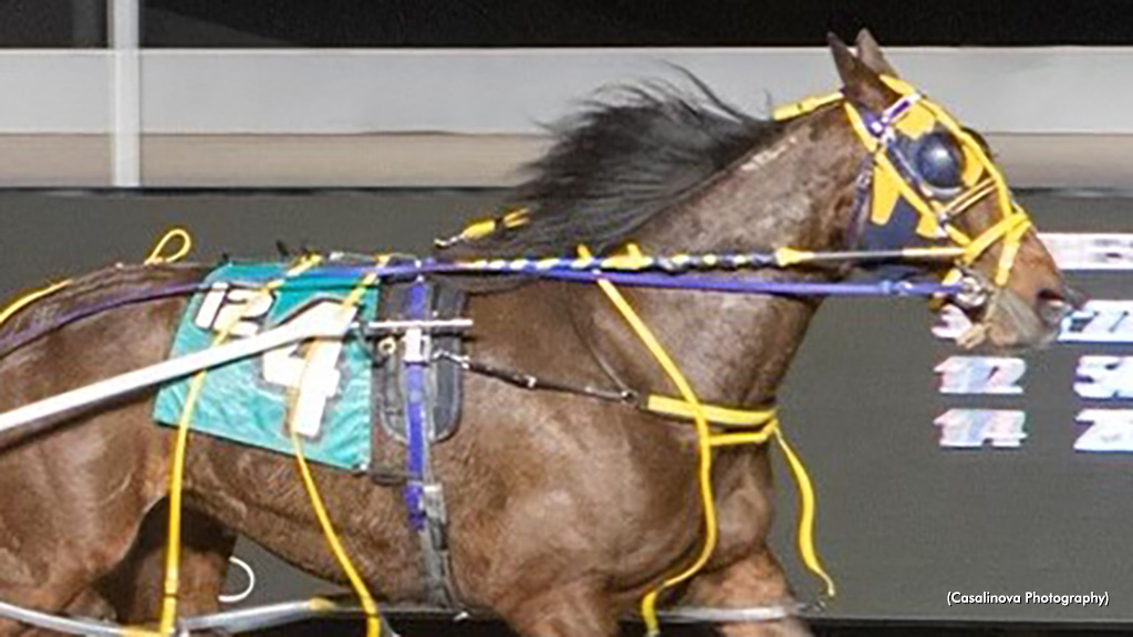 Grace Rocks Scores In Northfield Mares Open | Standardbred Canada
