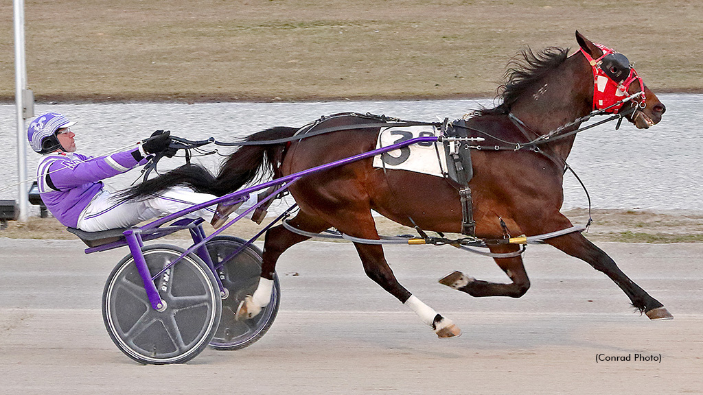 Nuclear Dragon Poised For Dailey Title Defense | Standardbred Canada