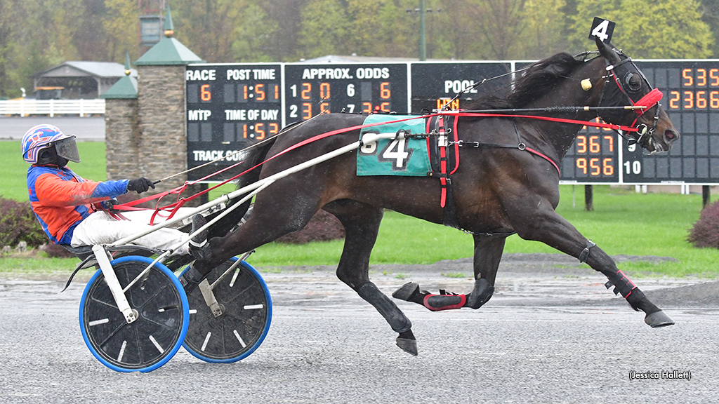 Summit City Sonny Ships And Wins At Saratoga | Standardbred Canada