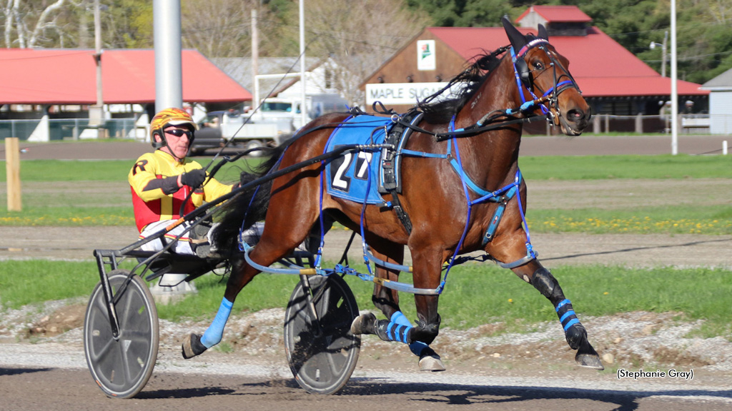 Go Sandy Go Goes All The Way | Standardbred Canada