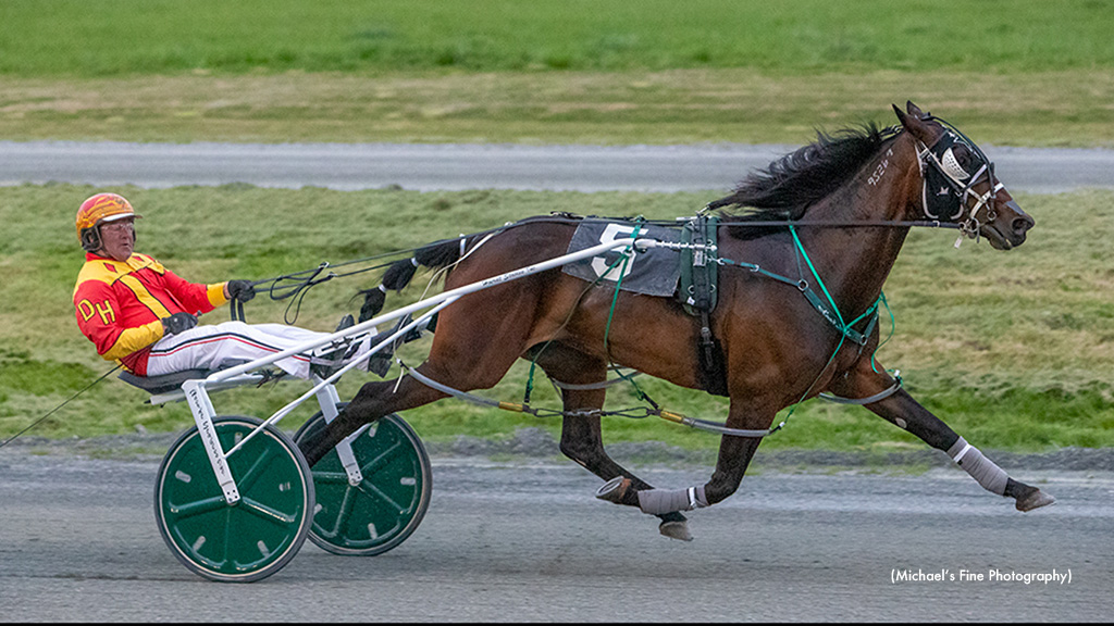 In High Cotton Ties Record In Fraser Feature | Standardbred Canada