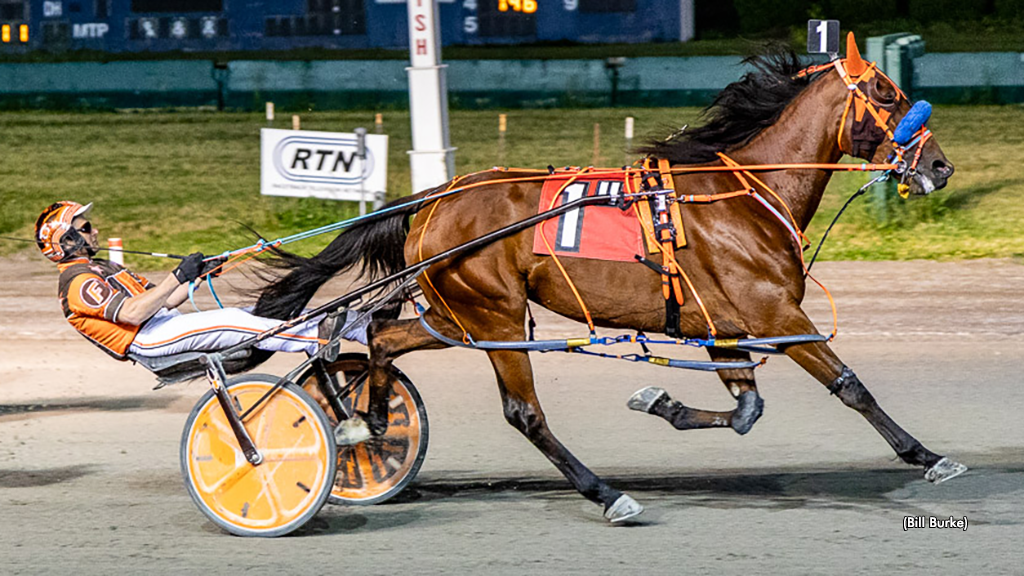 Summer Slash Sets Track Record At Buffalo | Standardbred Canada