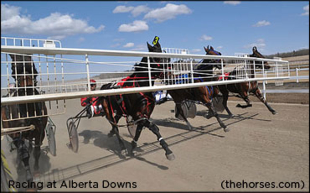 No More Racing At Alberta Downs This Year | Standardbred Canada