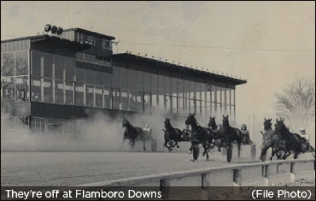 SC Rewind: Flamboro's Birthday (1/3) | Standardbred Canada