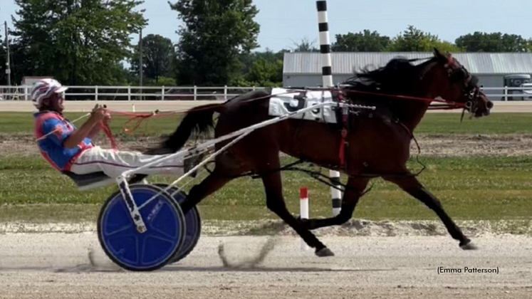 Dresden Raceway | Standardbred Canada