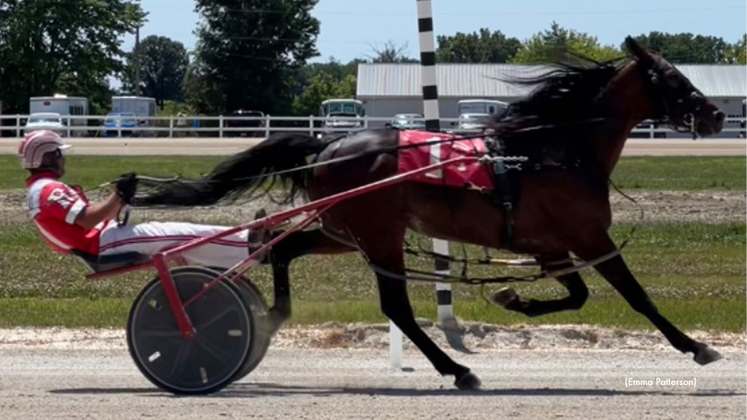 Dresden Raceway | Standardbred Canada