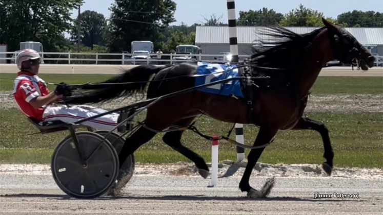 Dresden Raceway | Standardbred Canada