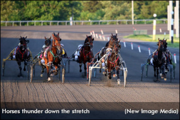 Canadian harness racing | Standardbred Canada